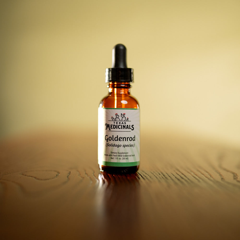 Goldenrod Tincture (Solidago species) – Texas Medicinals