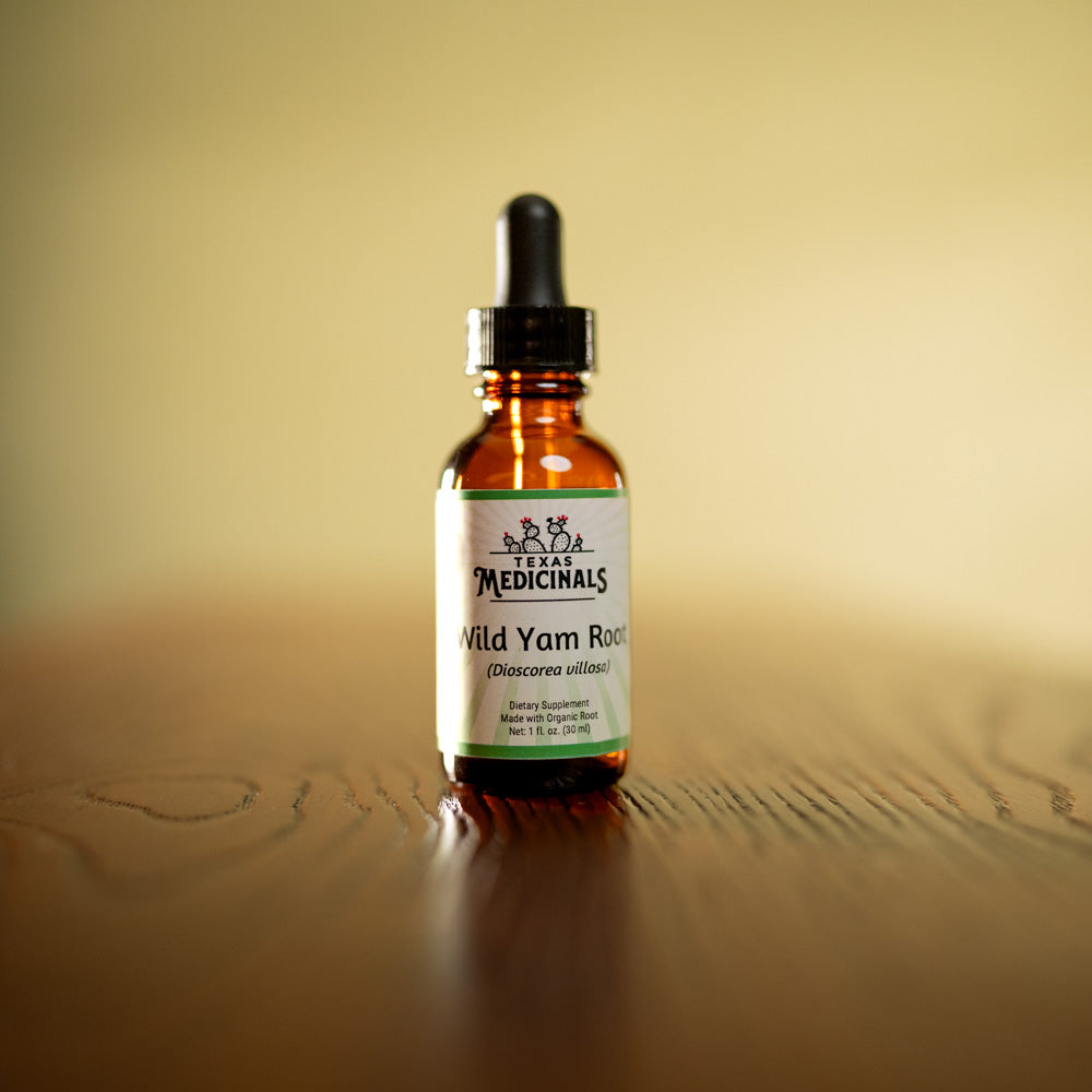 Wild Yam Root (Dioscorea villosa)