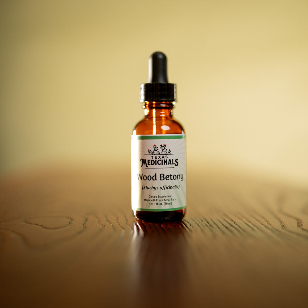 Wood Betony Tincture (Stachys officinalis) – Texas Medicinals